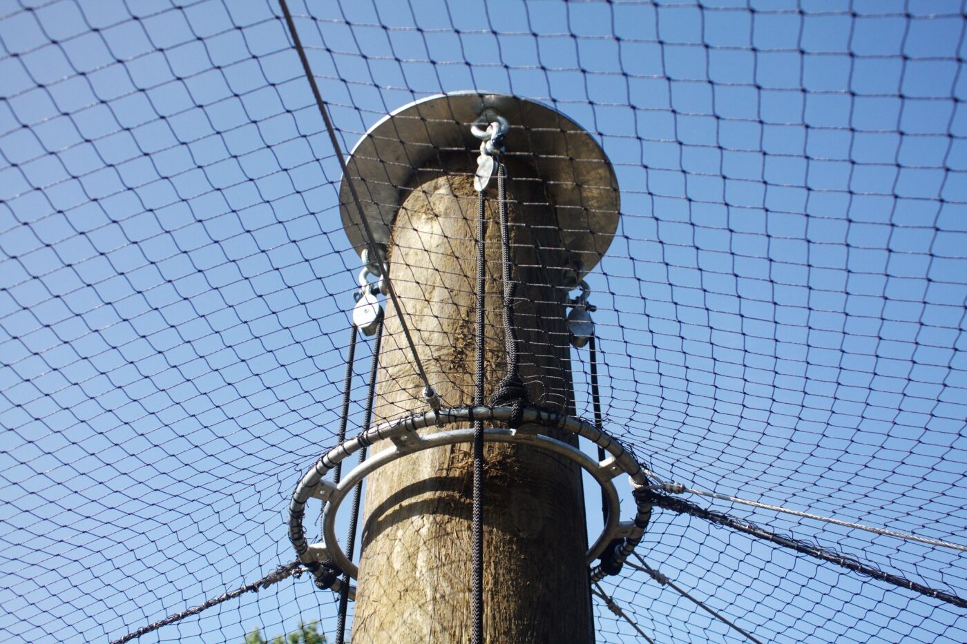 Birdworld - Base Structures