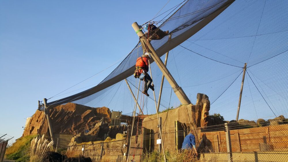 Maintenance for Canopies and Fabric Structures - Base Structures