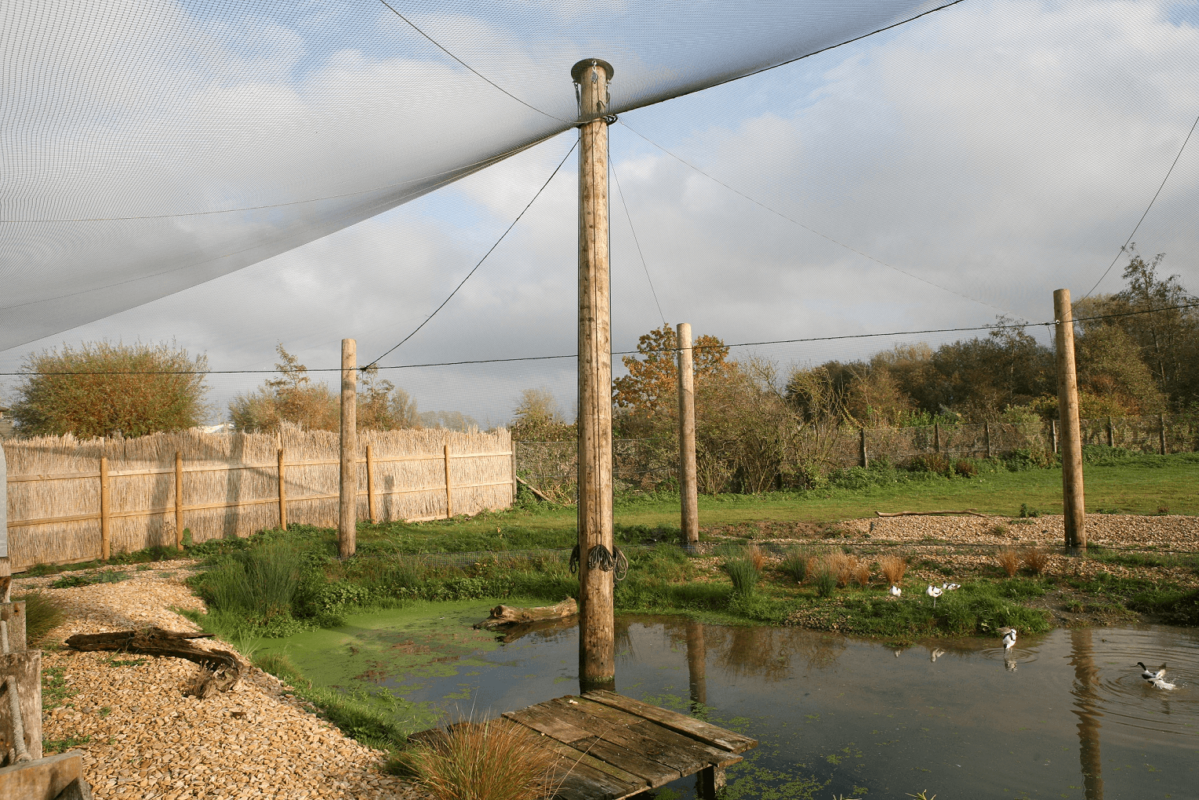 Slimbridge WWT - Base Structures