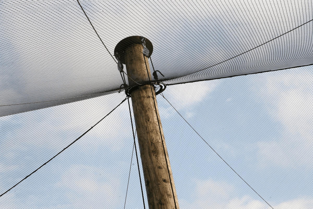 Slimbridge WWT - Base Structures