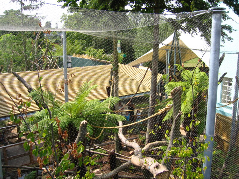 Bristol Zoo Howler Monkey Enclosure - Base Structures