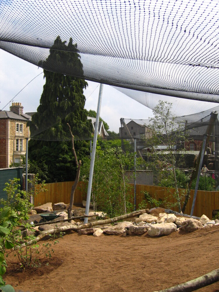 Bristol Zoo Lemur Enclosure - Base Structures